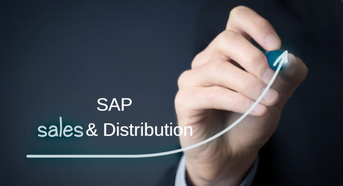 【SAP SD】SAP SD模块：简化销售和分销流程